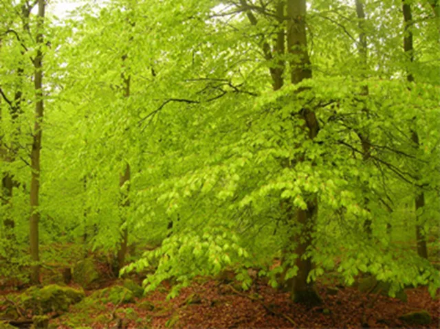 Sweden's six major habitat types