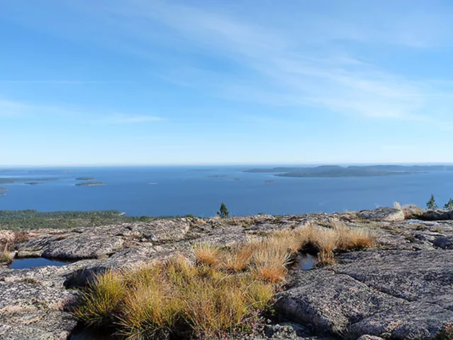 Sweden's six major habitat types