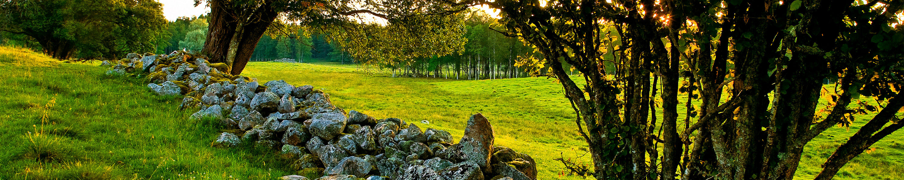 Store Mosse Nationalpark