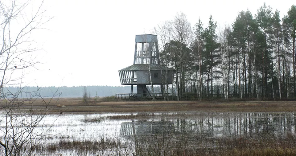 Bird watching tower