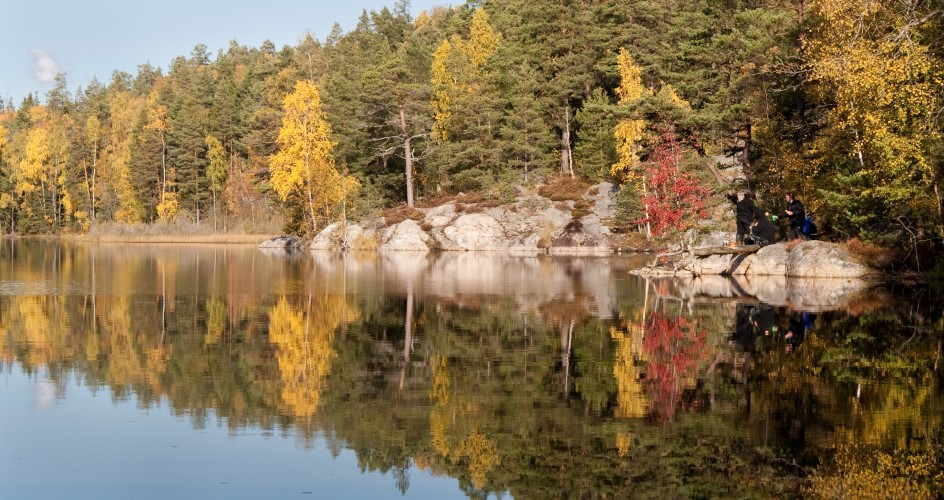 Tyresta nationalpark - Sveriges nationalparker